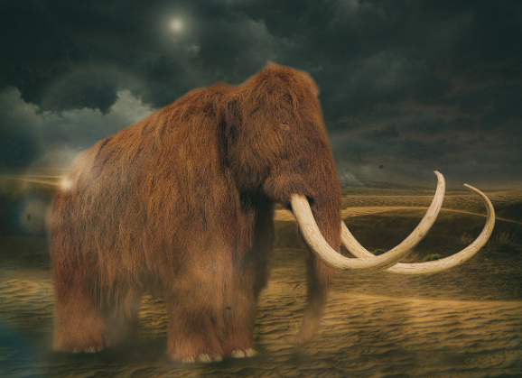 Mammoth Replica Coming to Mahaska County - Ottumwa Radio