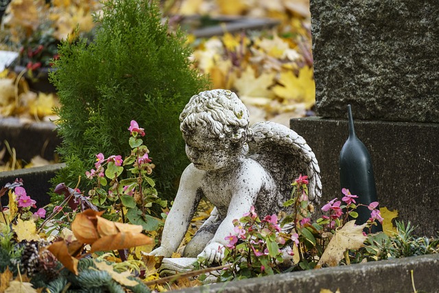 SUSAN GREINER - Ottumwa Radio