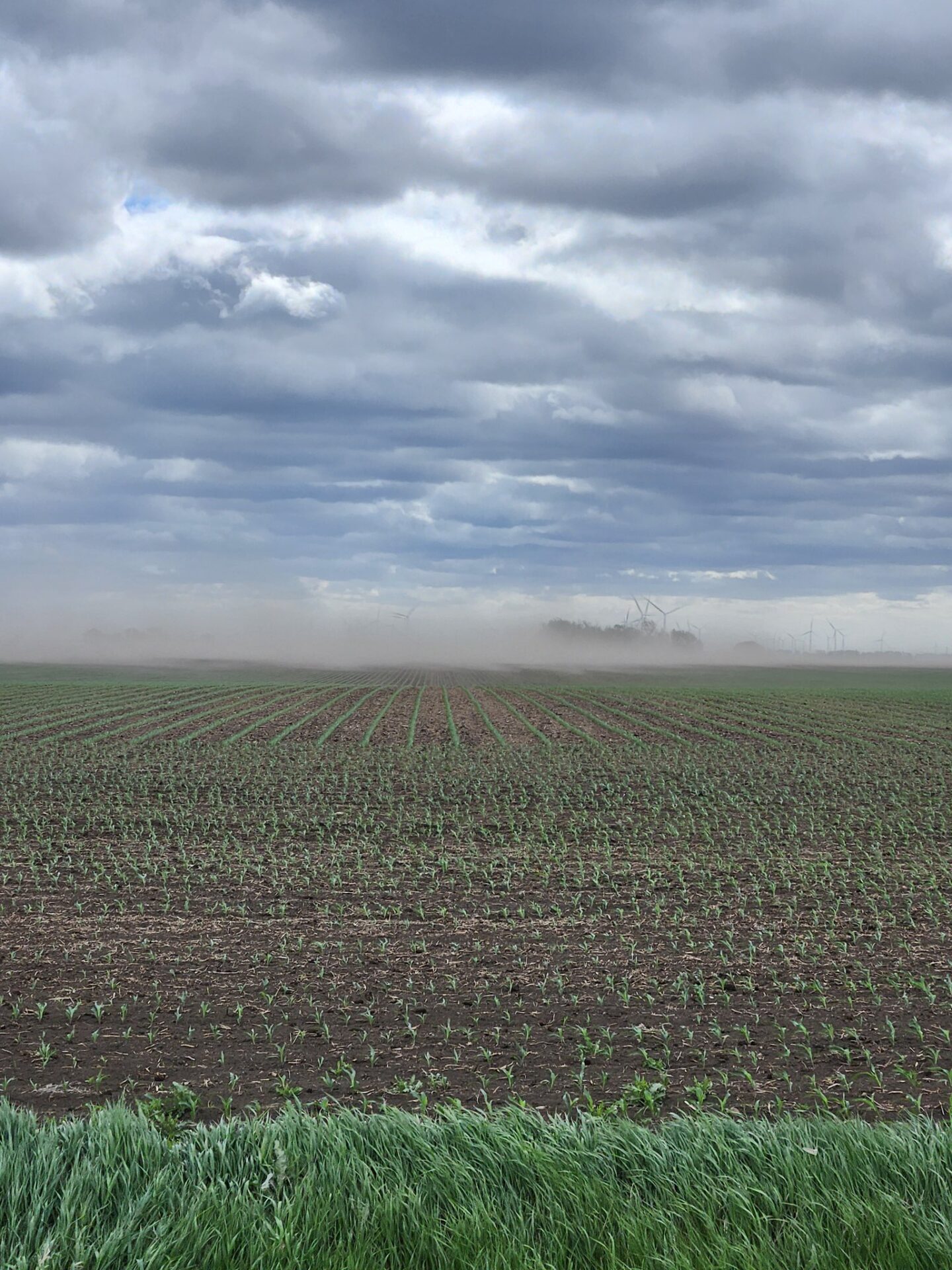 Strong winds lead to dusty fields in northwest Iowa - Ottumwa Radio