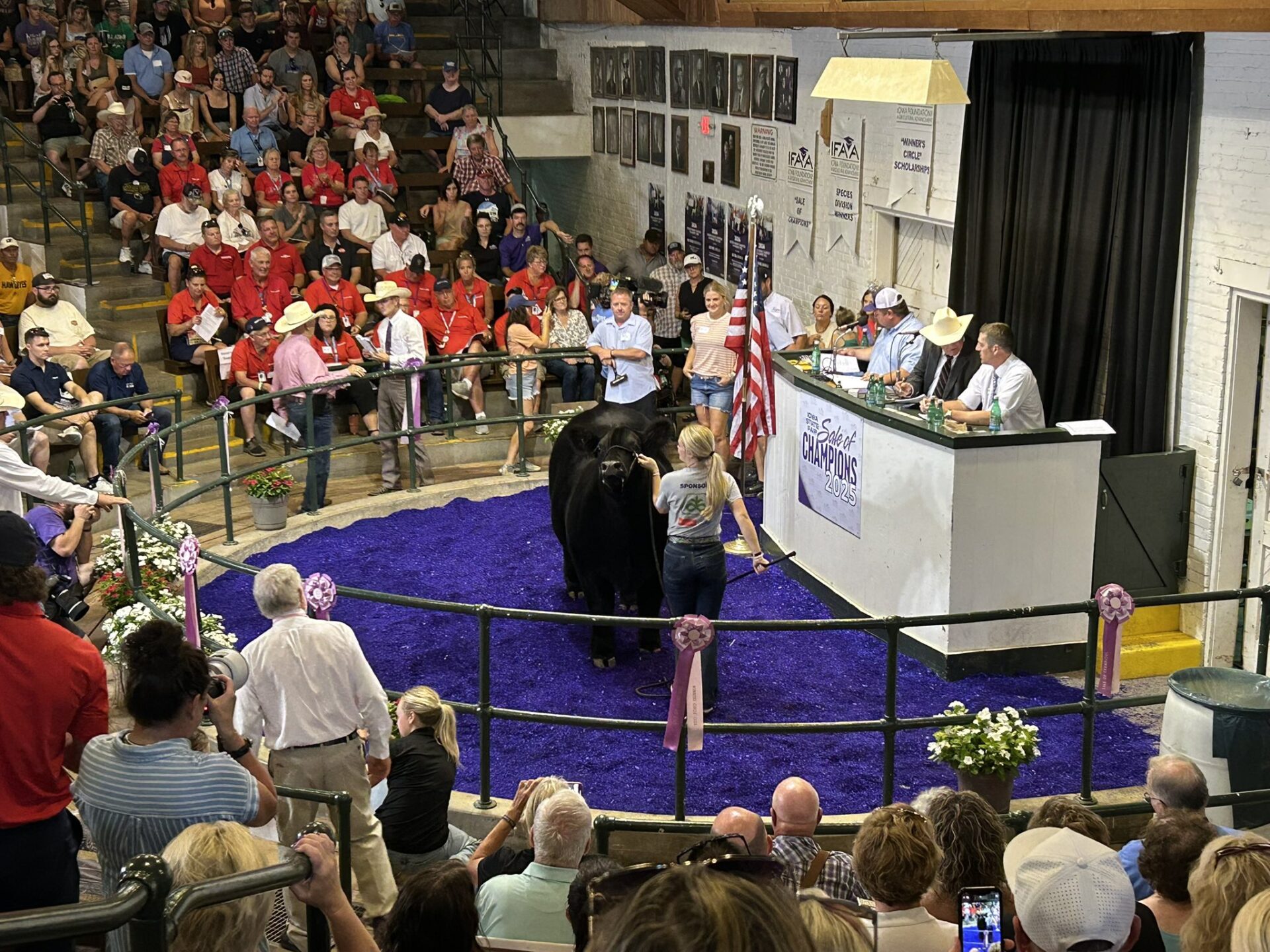 Sale of Champions hits $643,000 at Iowa State Fair - Ottumwa Radio